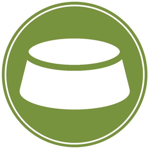 Nitter.net - a free and open source alternative Twitter front-end ...